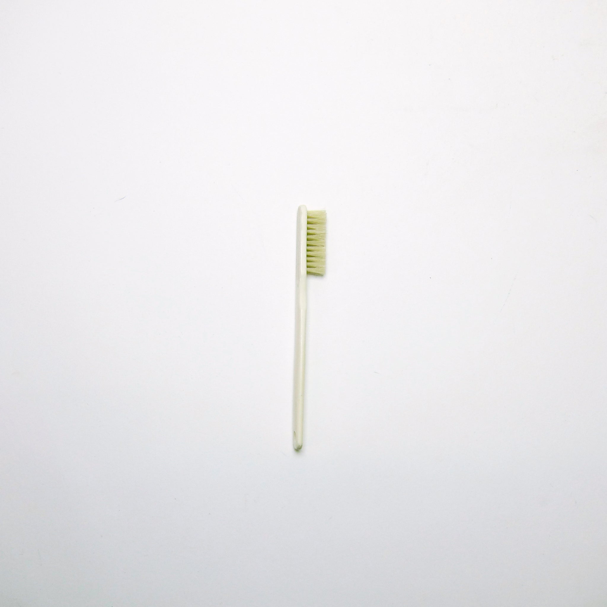 Bone + natural bristle toothbrush – The Prop Bank