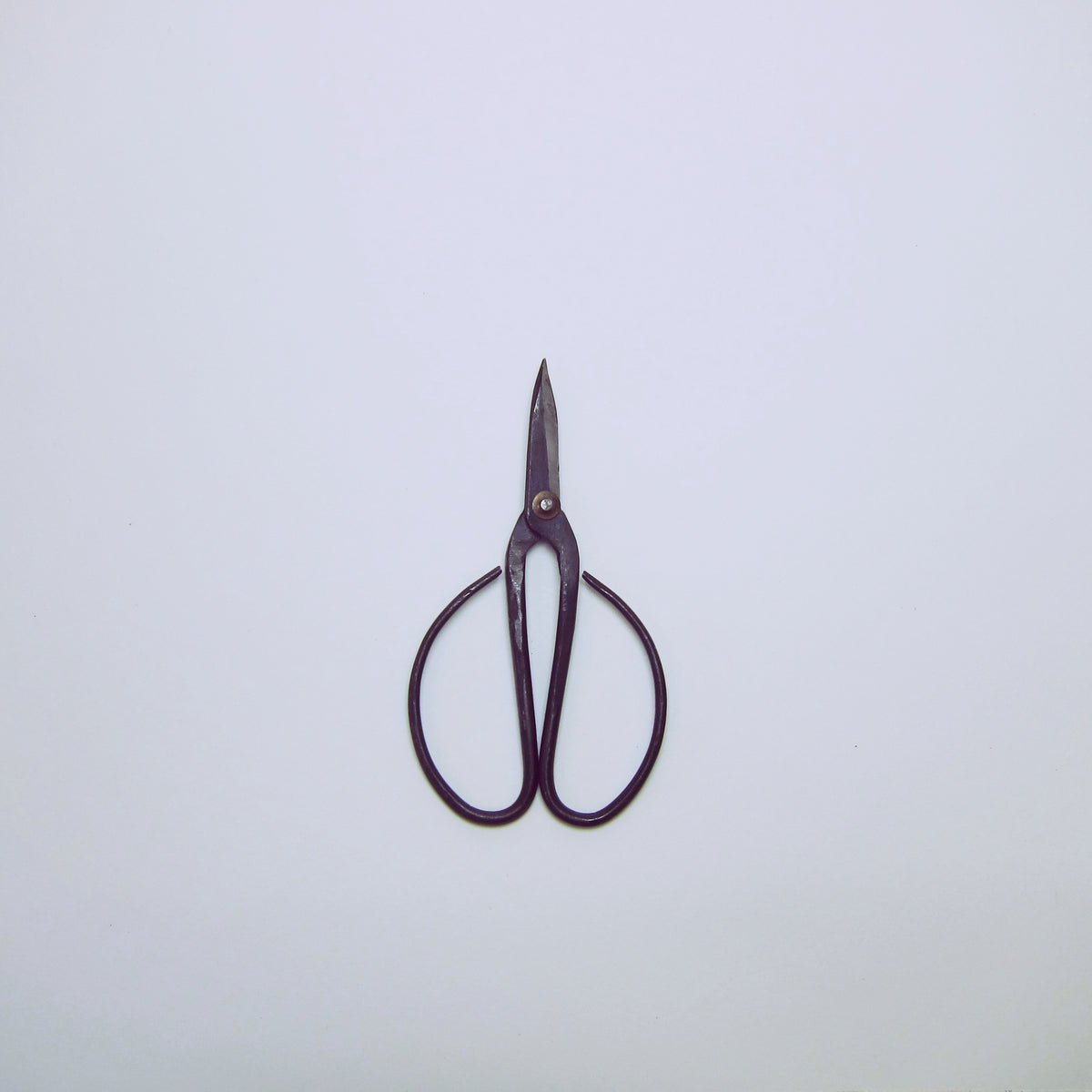Large wide handled black garden scissors. – The Prop Bank